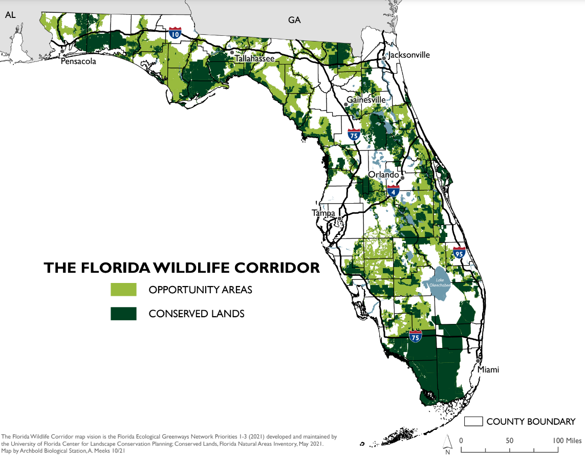 The Annihilation of Florida: An Overlooked National Tragedy