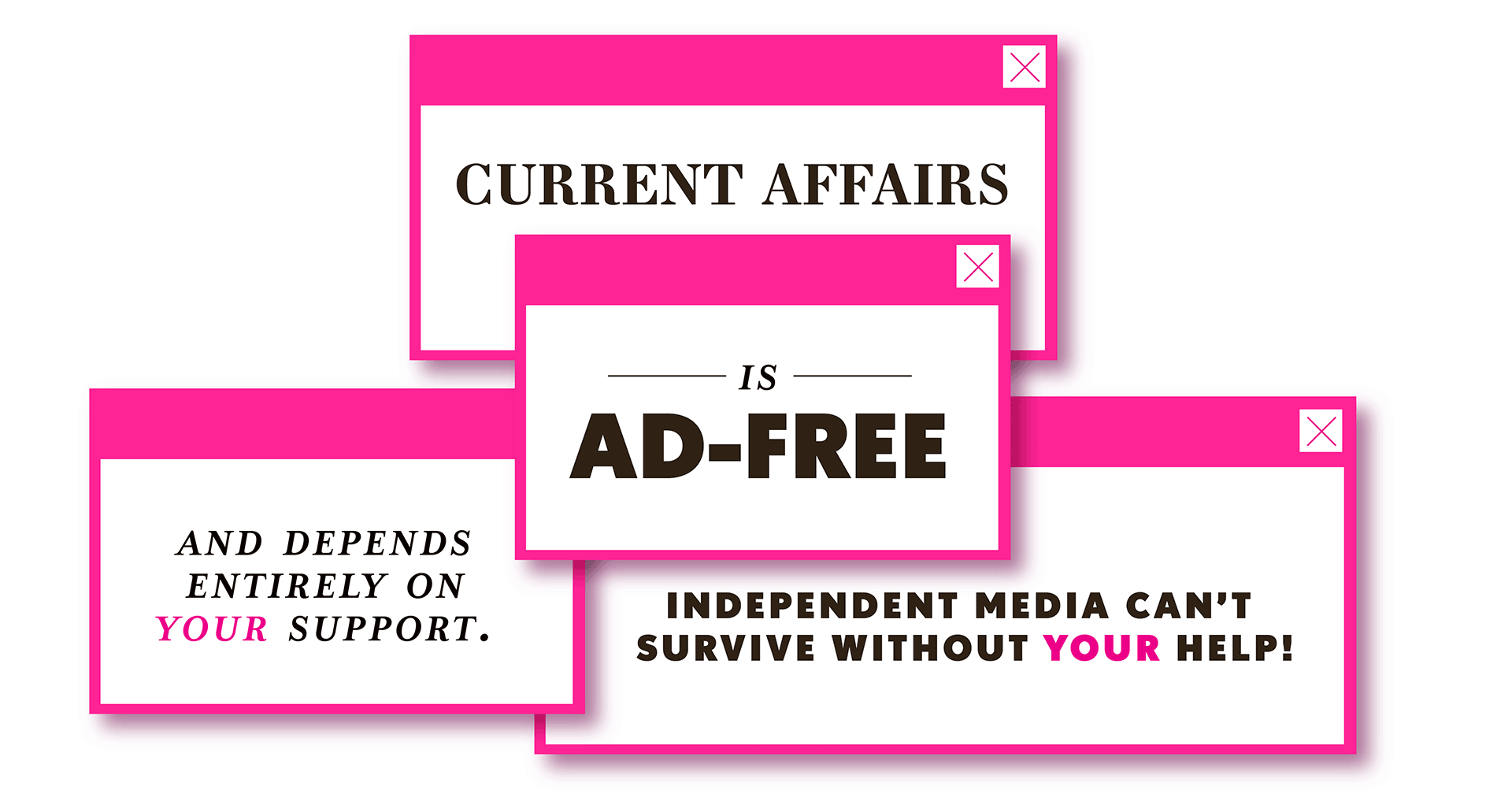 Who Will Stop Amish Animal Abuse?