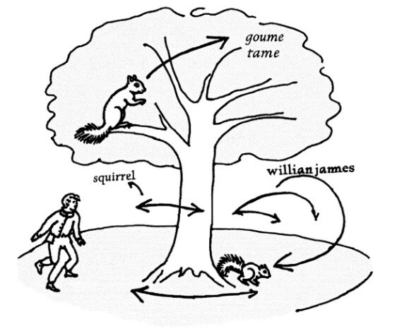 Why Trans Women Are Women