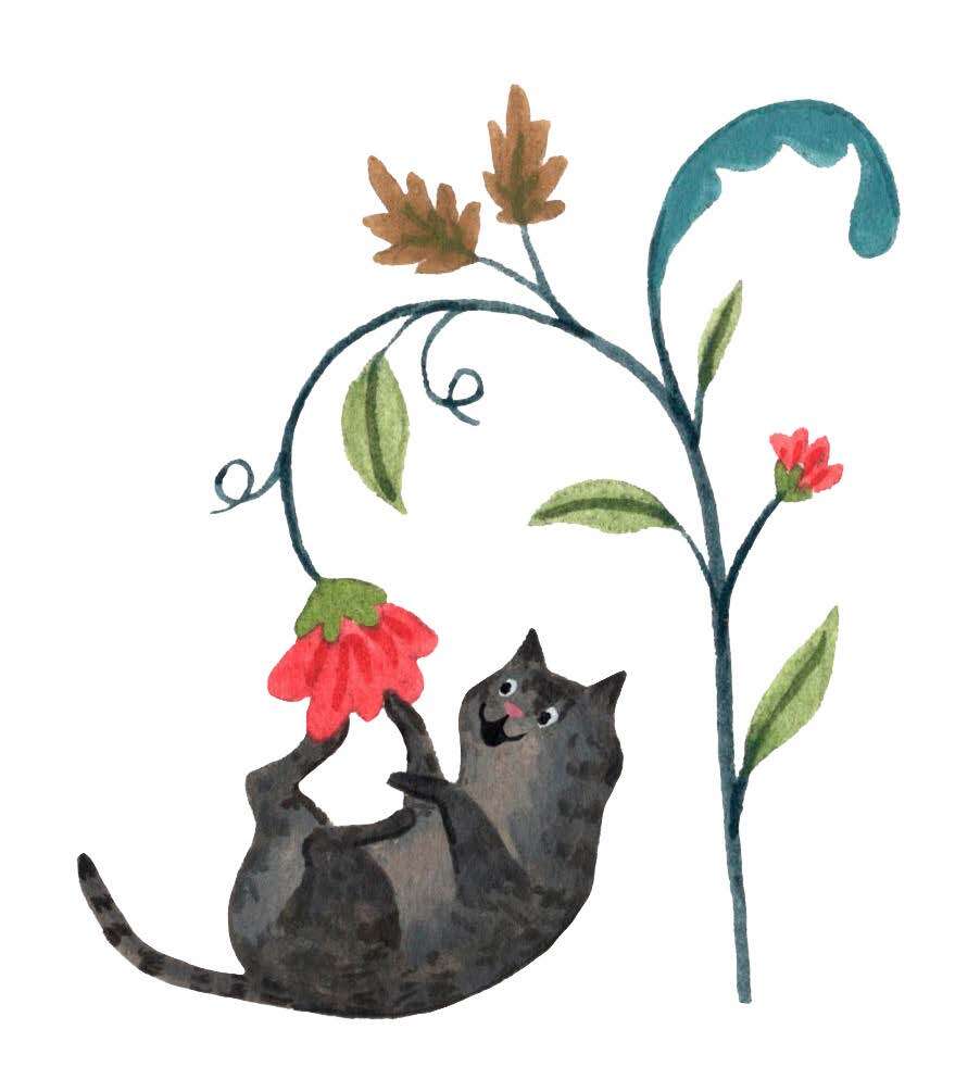 Let Us Praise and Honor Cats