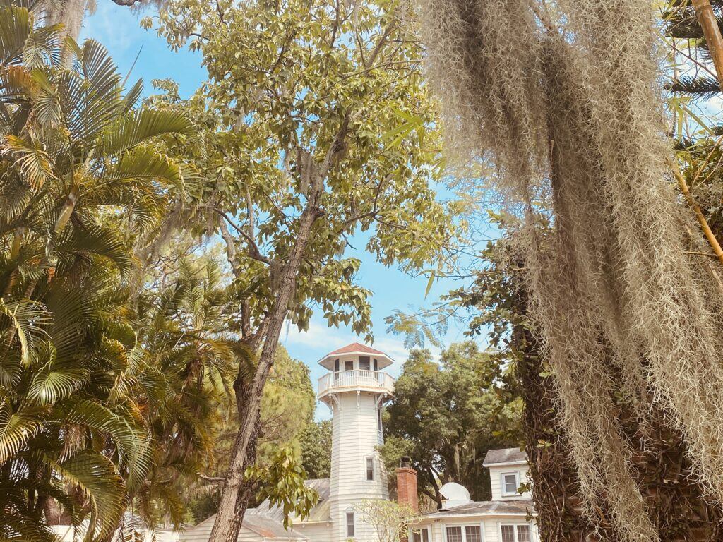 The Patterns of Florida