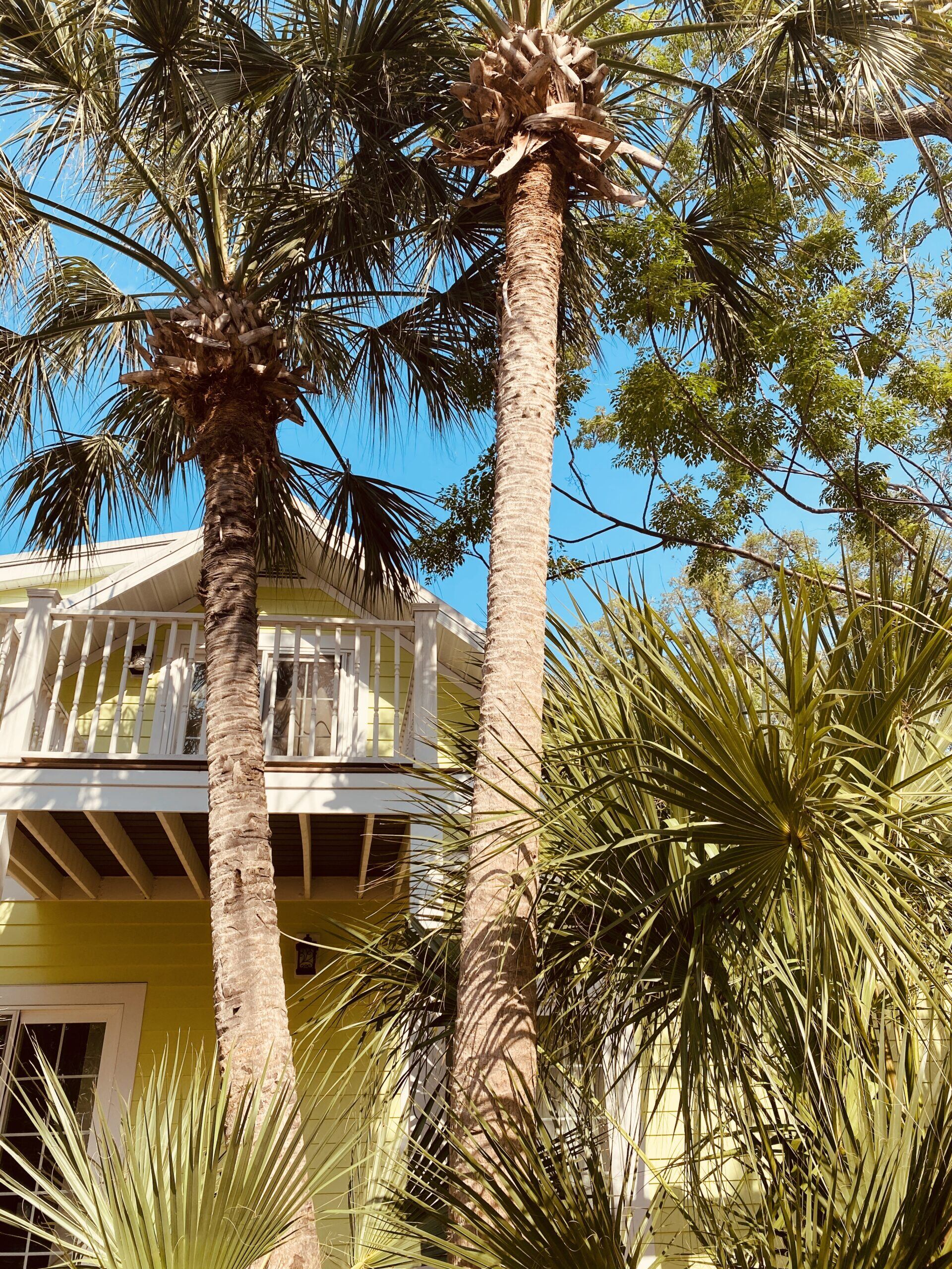 The Patterns of Florida