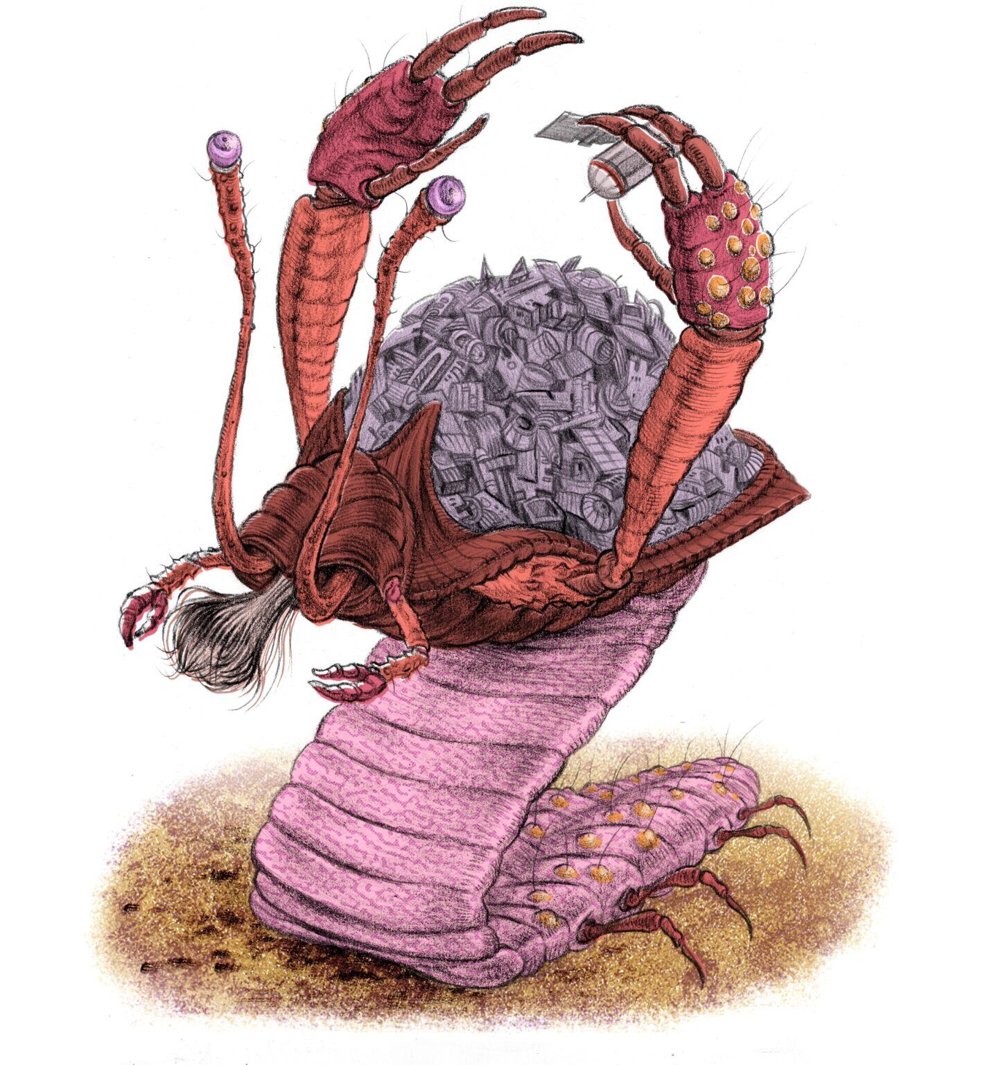 The Current Affairs Field Guide to Socialist Aliens