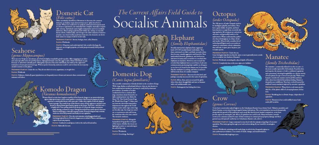 The Current Affairs Field Guide To Socialist Animals