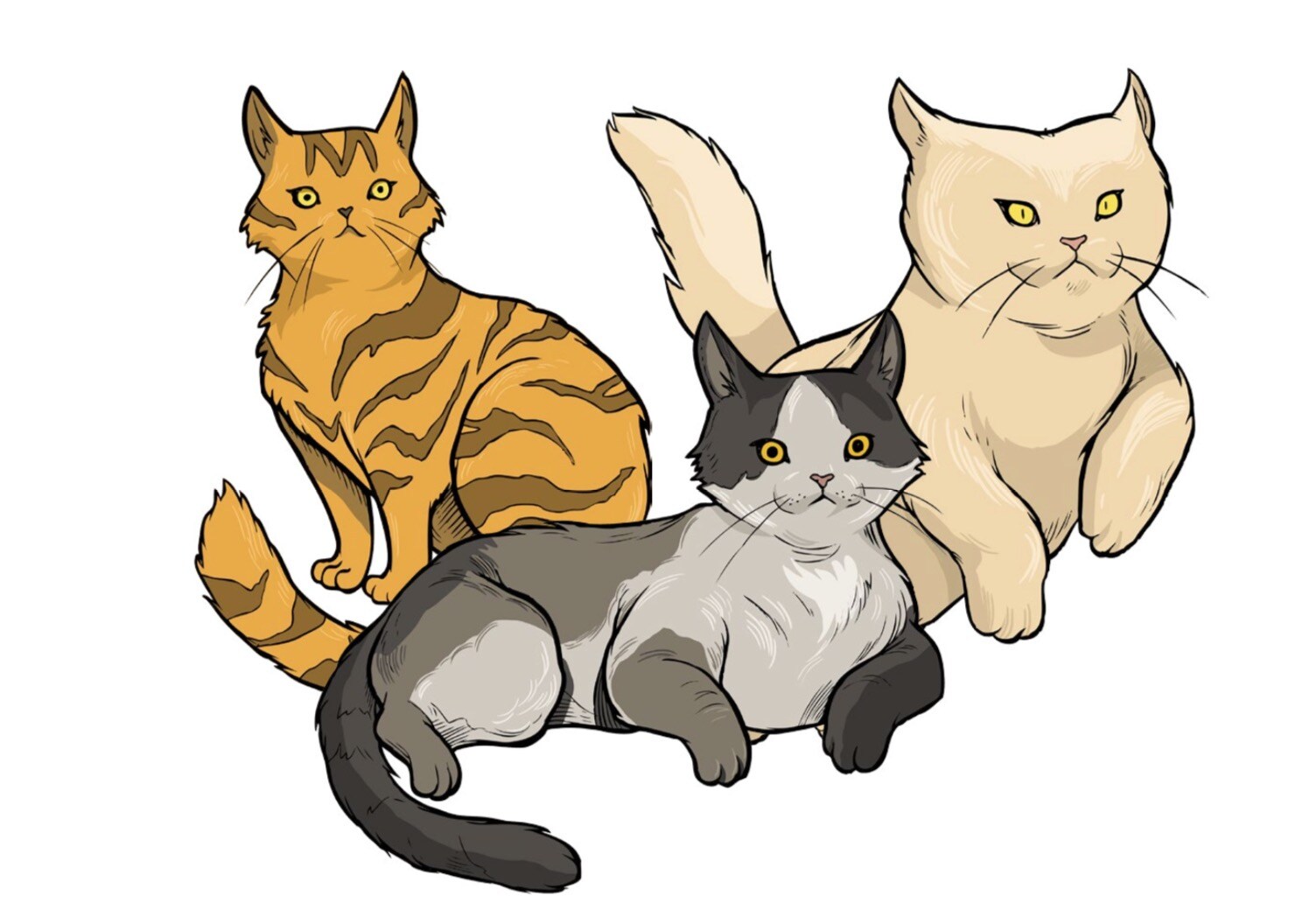 The Current Affairs Field Guide To Socialist Animals