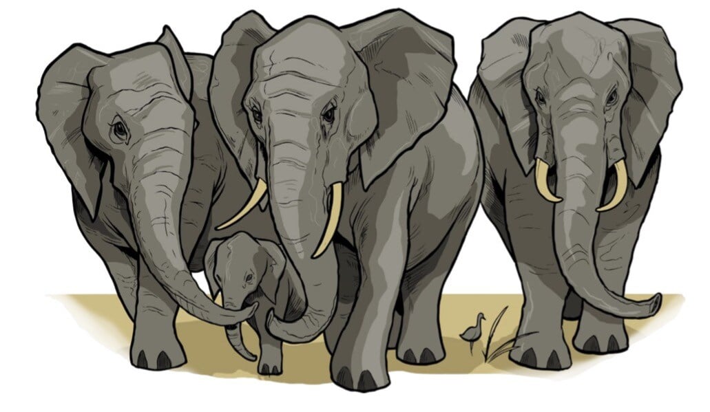 The Current Affairs Field Guide To Socialist Animals