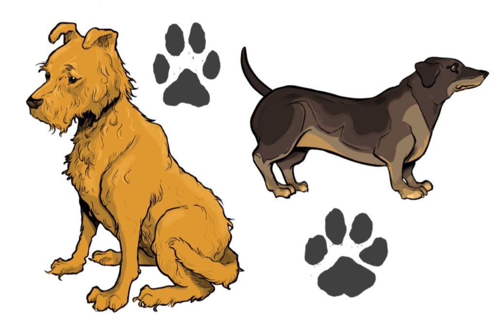 The Current Affairs Field Guide To Socialist Animals