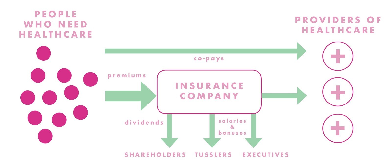 Why Private Health Insurance Makes No Sense