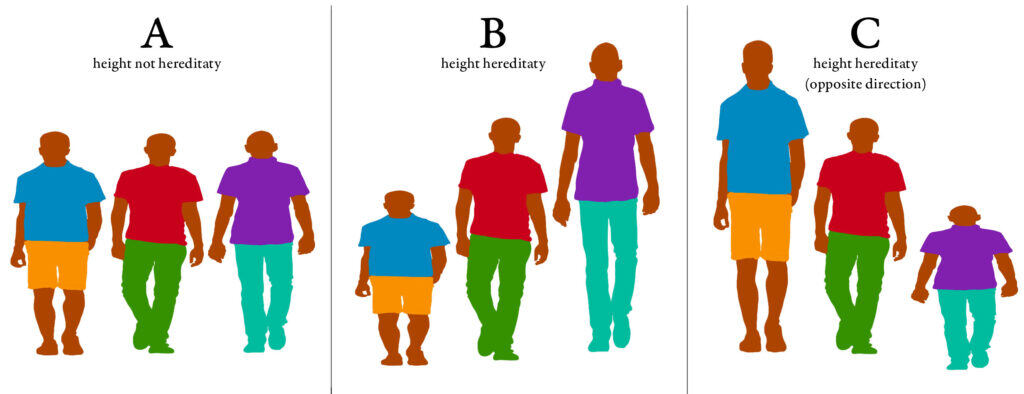 We Don’t Know Our Potential